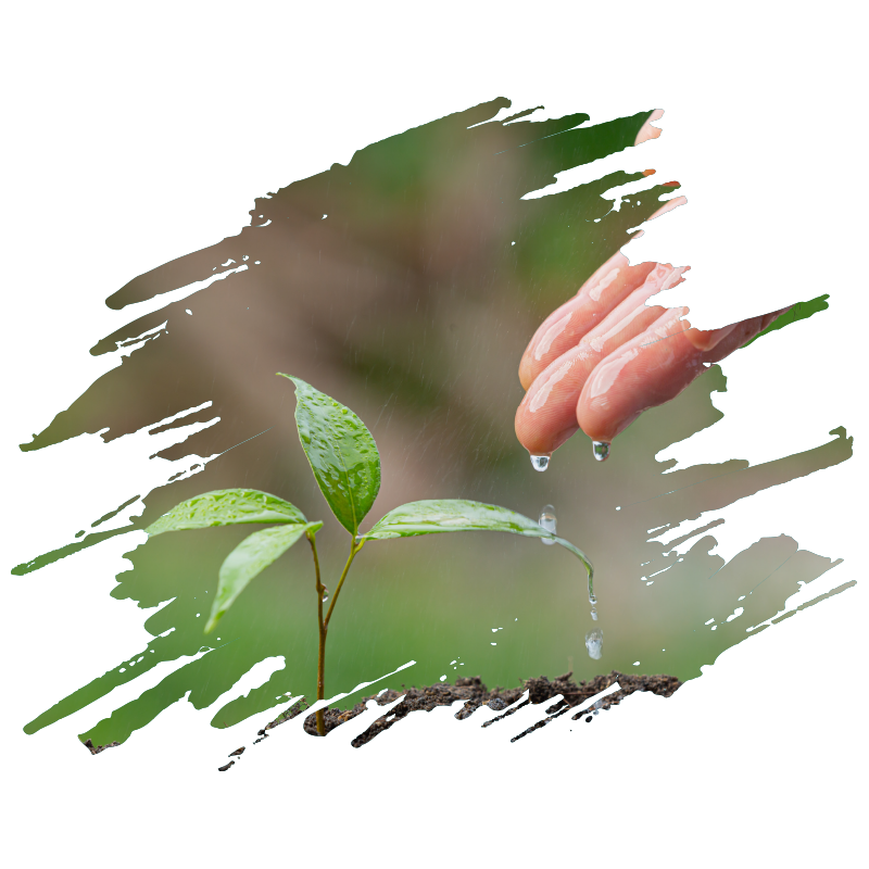 UNIQ AGRO FERTILIZERSGEL FERTILIZERS ,MACRO ELEMENTS,MICRO ELEMENTS ,ORGANIC & BIOSTIMULANTS ...