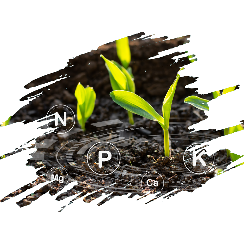 UNIQ AGRO FERTILIZERSGEL FERTILIZERS ,MACRO ELEMENTS,MICRO ELEMENTS ...